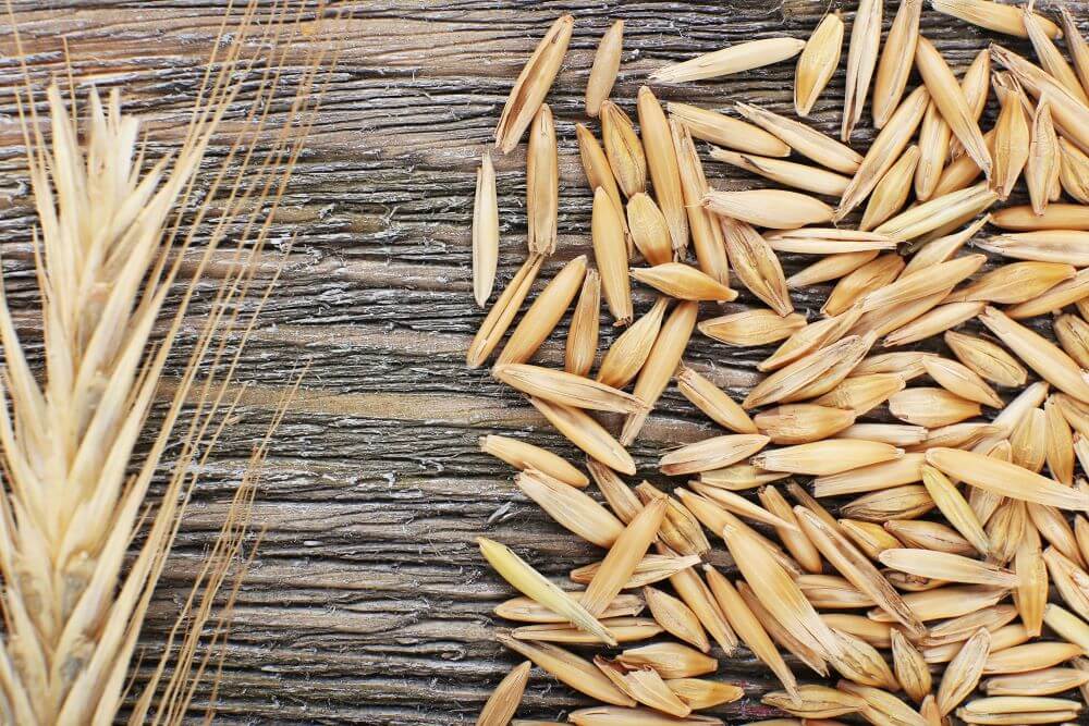 Organic Rye Alcohol - Organic Alcohol | Sasma